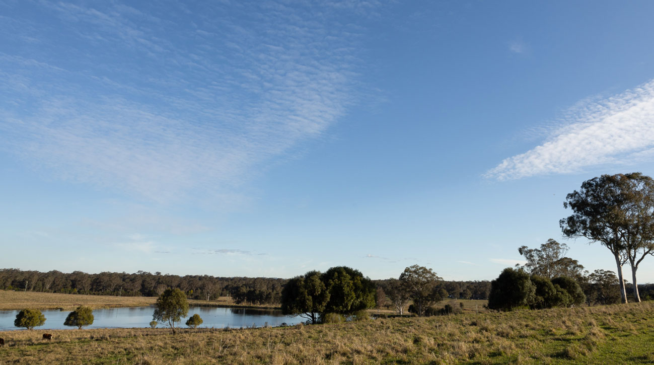 Cobbitty by Mirvac | New Project Coming Soon